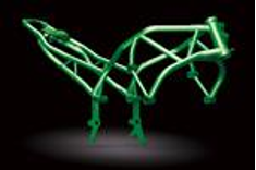 Z H2 SE - Kawasaki India